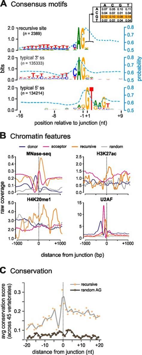 Features Of Filtered Rs Sites Combined Results From 15 And 45 Min Download Scientific Diagram