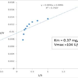 Lineweaver Burk Plot To Determine Km And Vmax Of Purified Amylase