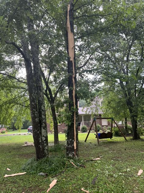 Severe Storms Leave Behind Damage In North Alabama WDHN