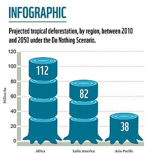 Tropical Rainforests Wwf