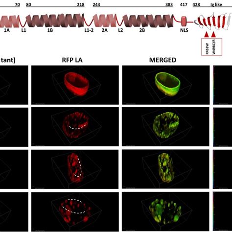 Electrostatic Potential Surface Potential Along With Secondary