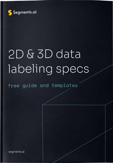 Data Labeling Process And Management Segmentsai