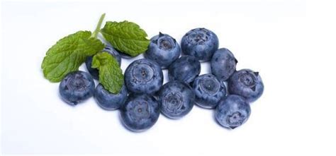 What Is Pterostilbene Powder Knowledge Shaanxi Pioneer Biotech Co Ltd