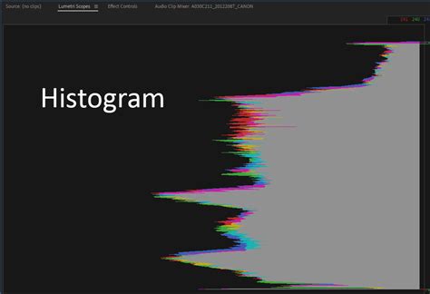Premiere Pro Vertical Histogram To Horizontal Look Adobe Community