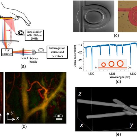 Volumetric Pact With 2d Ultrasound Array A Schematic Of The Download Scientific Diagram