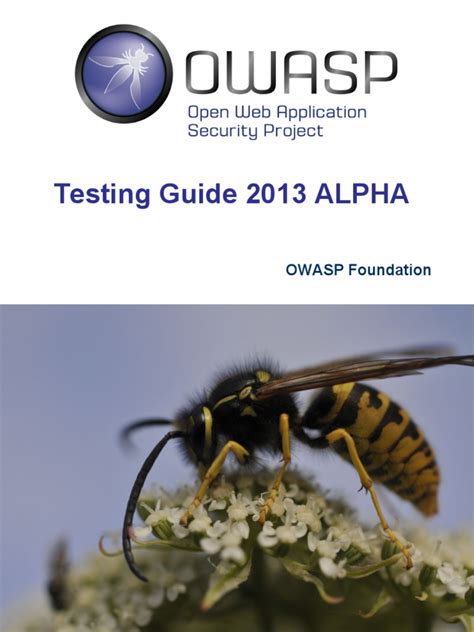 testing guide pdf threat computer vulnerability computing