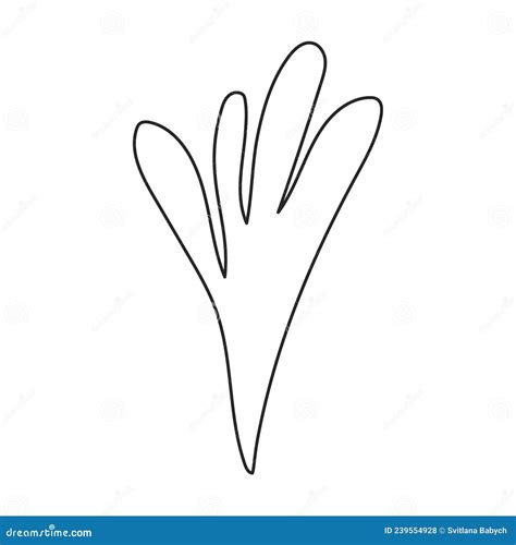 Vectores De Salpicadura De Agua Icono De Vector De Contorno Aislado En