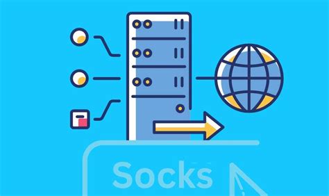 Understanding Socks5 Proxies Security Speed And Use Cases European Raptors