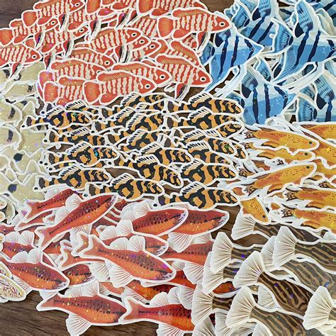 Laminated Stickers Stickers ‘n Stuff Nz