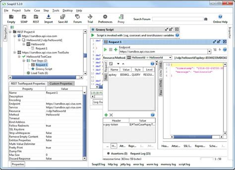 Visa Developer X Pay Token