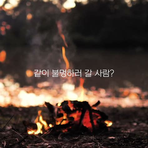 나랑 불멍하러 놀러갈 사람 남사친 여사친 채팅앱 동네친구 이성친구 채팅 데이팅앱 소개팅어플 데이팅어플 소개팅 남자친구 여자친구 Youtube