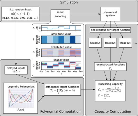 Schematic Of Processing Capacity Simulation Real Valued Random Inputs