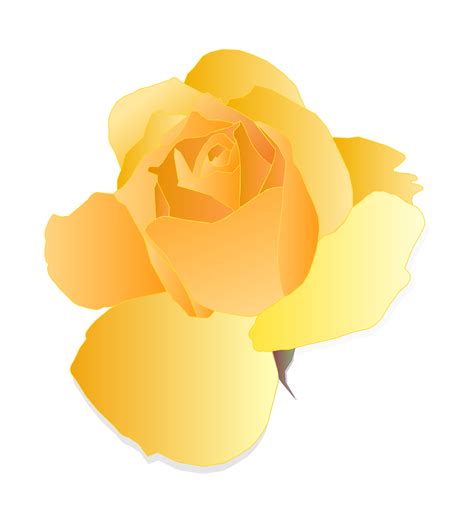 Rose Yellow Cartoon At Charlotte Revell Blog