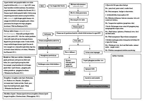 Lp Demam Typoid Pdf