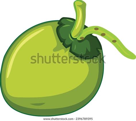 Green Coconut Vector Art Illustration Stock Vector Royalty Free Shutterstock