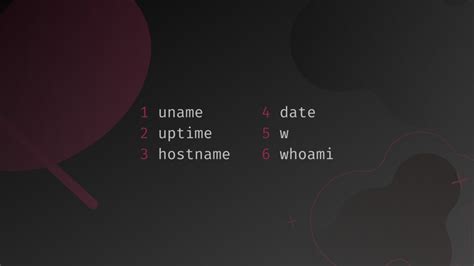 Linux System Information Commands ByteXD