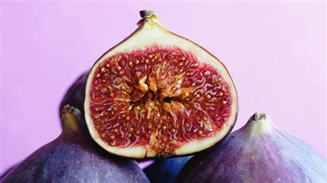 Presenting The Best Food To Stick Your Penis Into Playbabe