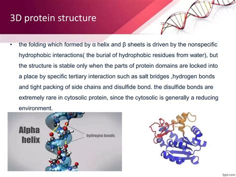 Protein Structure Analysis Pptx