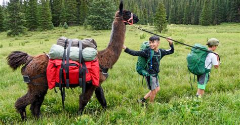 Llama Trekking