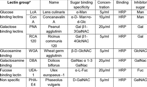 The Lectins Used And Their Sugars Binding Specificities Download