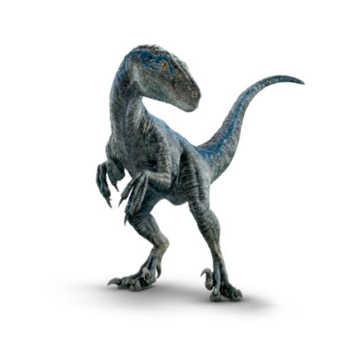 Velociraptor Blue Blue Jurassic World Jurassic World Dinosaurs