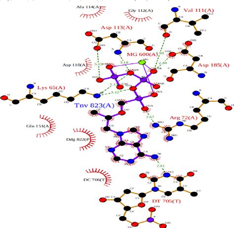 Figure 4 From Hepatocarcinoma In Hbv Infection Is Controlled By The Use