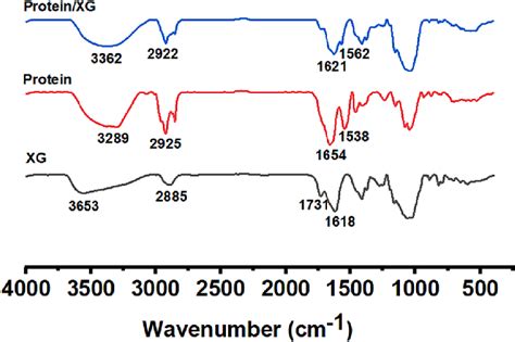 Fourier Transform Infrared Spectroscopy Analysis Download Scientific Diagram