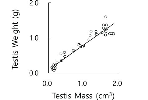 A Correlation Between The Testicular Masses And The Real Testicular