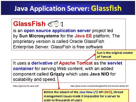 Building Dynamic Java Web Applications Glassfish JAVA EE