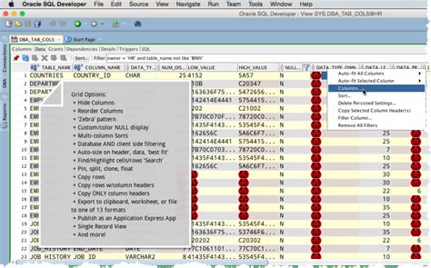 Infographic Oracle Sql Developer Data Grid Features