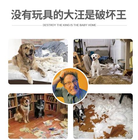 亚马逊爆款宠物玩具圣诞节狗玩具套装耐撕咬毛绒发声猫咪狗狗玩具 阿里巴巴
