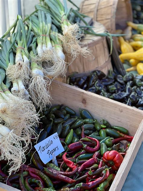 플라스틱 포장에 담긴 신선한 다채로운 피망 · 무료 스톡 사진