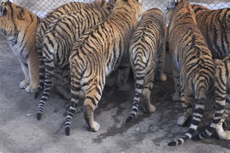 year 2023 in hundred year perspective