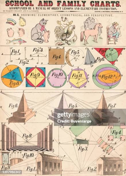 240 Marcus Pierce Photos And High Res Pictures Getty Images