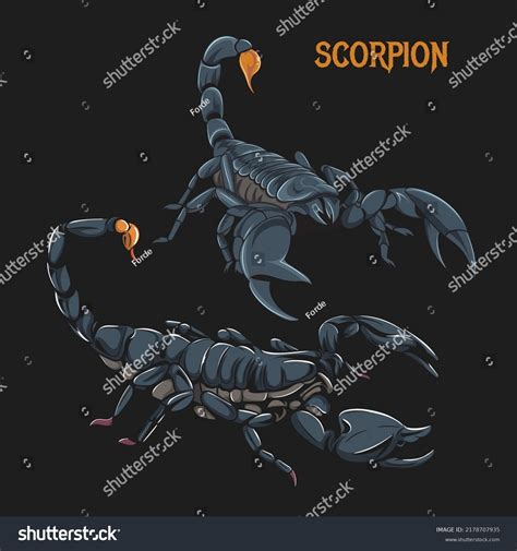 Hand Drawing Scorpion Vector Illustration Stock Vector Royalty Free