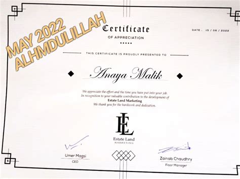 Ayesha Shoukat On Linkedin Salesexecutive