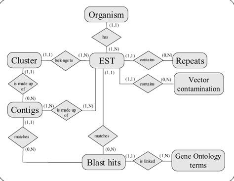 The Entity Relationship Er Diagram Of The Mysql Database The Er