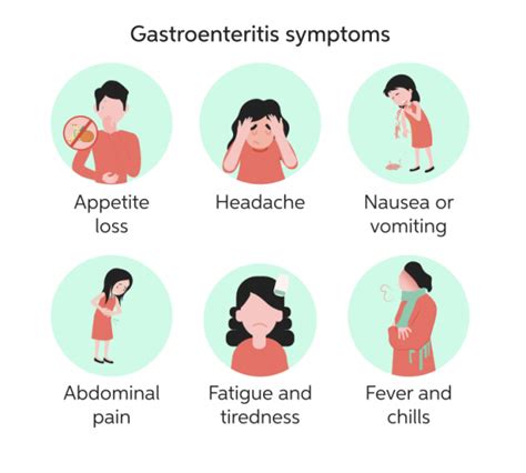 Everything You Need To Know About Gastroenteritis The Laymans Doctor