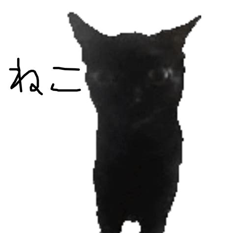 Isaka Lee Casting Call Club