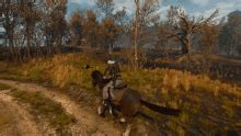 Riding A Horse Geralt Of Rivia  Riding A Horse Geralt Of Rivia