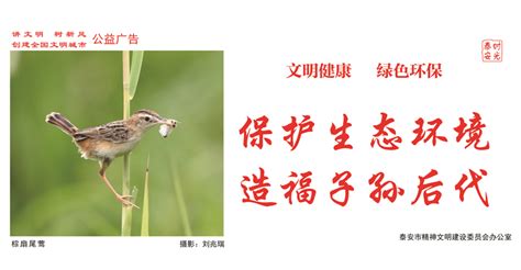 泰山区人民政府