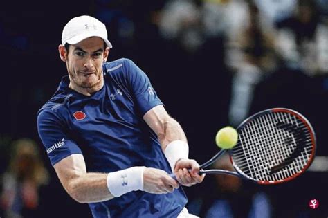Atp年終總決賽 默里與喬科維奇劍指年終球王寶座 每日頭條