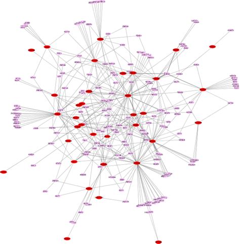 Confirmed Tf Transcription Factortargeted Down Differentially