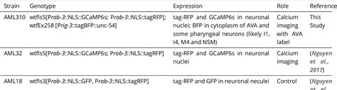 Table 2 From Decoding Locomotion From 1 Population Neural Activity In Moving 2 C Elegans