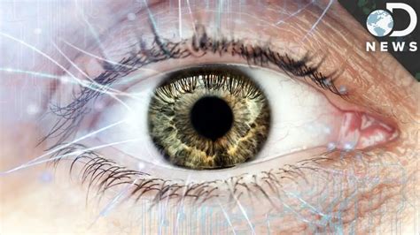 Evolution Of The Human Eye Science Facts