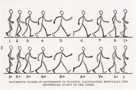 Walk Cycle Animation Animation Sketches Walking Animation Animated Drawings