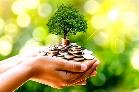 Portfolio Restructuring Tool In Mumbai