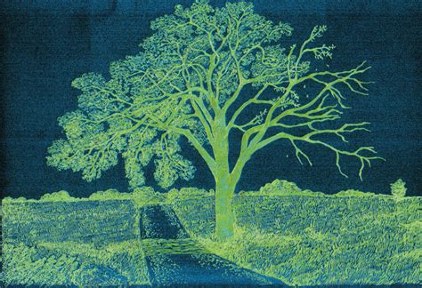 How Invasive Pathogens Benefit From Their Cousins Research