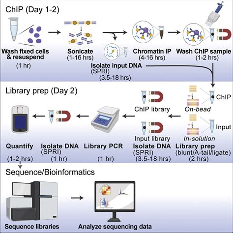 Cell Press Star Protocols