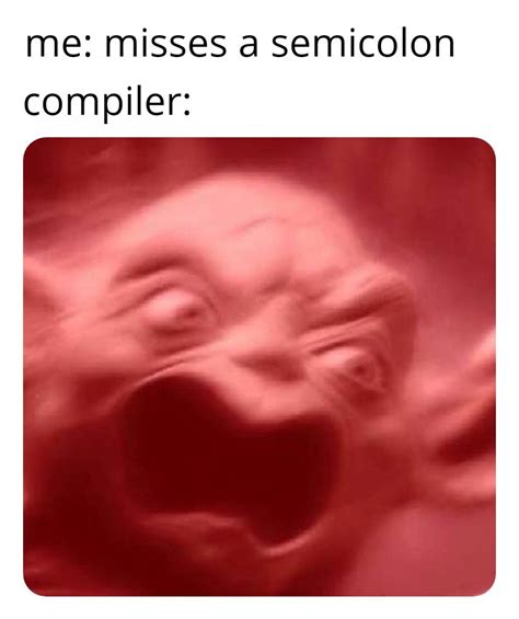 what the frick did you just bring upon this cursed land r programmerhumor